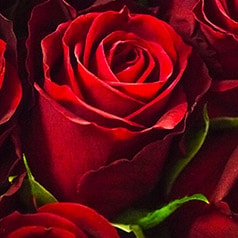 dudutech_why_us_history | Dudutech