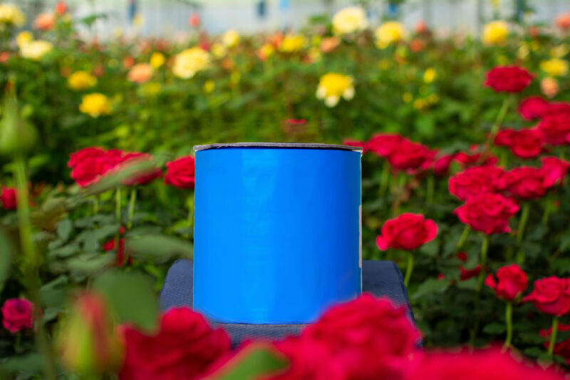 ROLLER TRAP | Dudutech