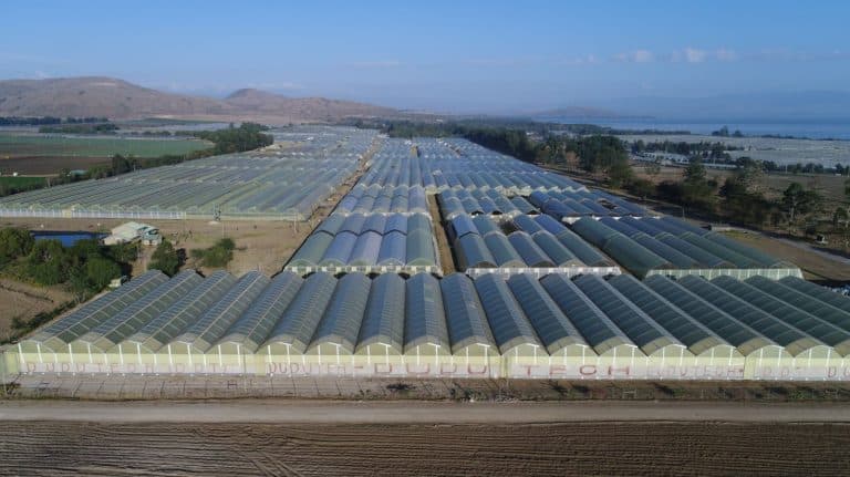 Flamingo commits $2.4million investment to Dudutech expansion | Dudutech