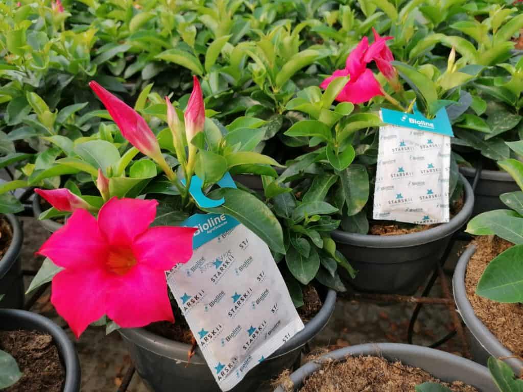 Dudutech acquired by Bioline Agrosciences (Invivo Group), Press Release ...