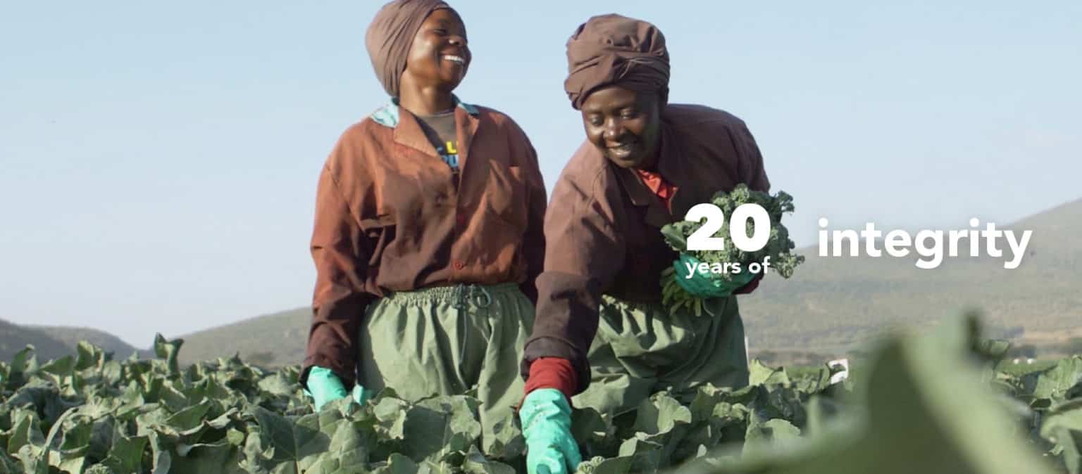 20 Years of Dudutech | Dudutech