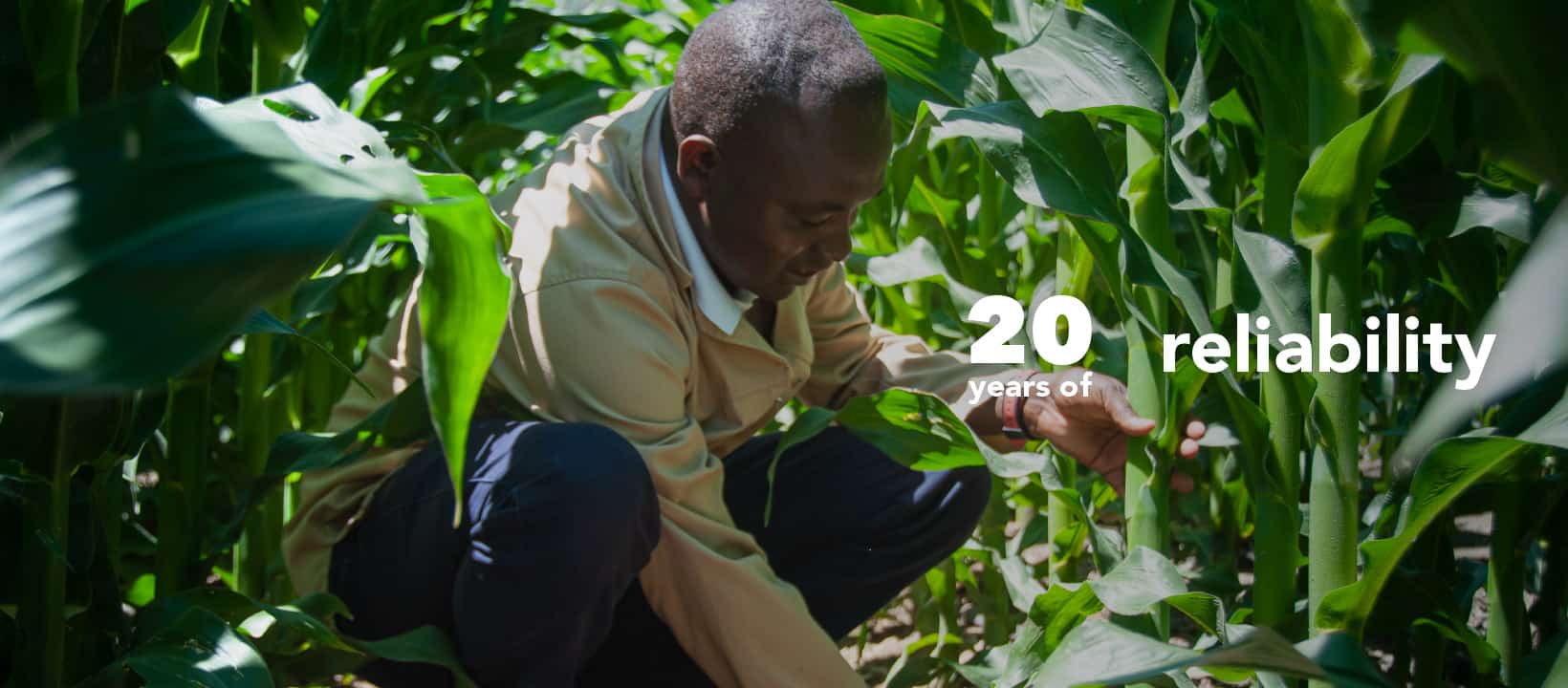 Dudutech | By Bioline AgroSciences Africa