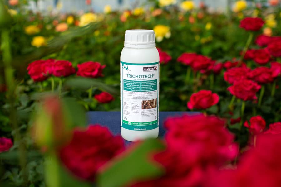 Dudutech-Trichotech-Pack-Shot-edit-1 | Dudutech